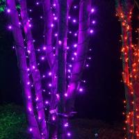 China Purple Outdoor Solar Christmas String Lights 5V 450MA 50M Length for sale