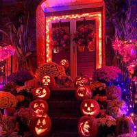 China 8 Modes Orange Halloween String Lights Green Wire 70m 3.7V Battery for sale