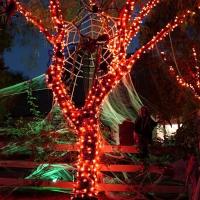 China 8 Modes Orange Halloween String Lights Green Wire 70m 3.7V Battery for sale
