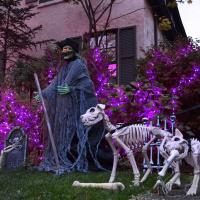 China 70m Purple LED Christmas Lights / Halloween String Lights Outdoor 300MA 28V for sale