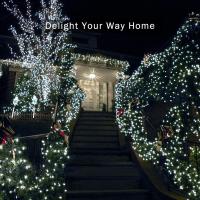 China 110V Cool White LED Outdoor Solar Christmas Tree Lights Green Wire 17ft 300MA for sale