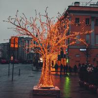 China 30m Length Green Cable Red LED Christmas Tree Lights PVC 50Hz for sale
