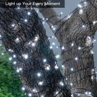 China 120V 60m Cool White Christmas Tree Lights 600 LED Plug In Fairy Lights With Timer for sale