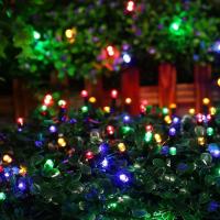China Multi Colors Extendable LED Multicolor Christmas Lights String 400 LED 120V for sale