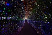 China Multi Colors Extendable LED Multicolor Christmas Lights String 400 LED 120V for sale