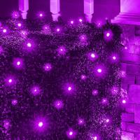 China 100 LED Purple 120V  Christmas Tree Bulbs Extendable 32ft Waterproof Outdoor for sale