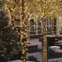 China Extendable Christmas Lights 100 LED All Soul's Day Wedding Party Fairy Plug In Yellow for sale