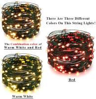 China Wedding Copper Wire Lights Outdoor AC 240V 100 LED 10M With Remote Timer for sale