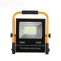 China Lithium Battery LED Solar Powered Flood Lights 100W For Corridors for sale
