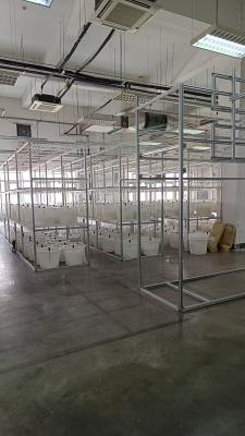 China Hollow fiber membrane automatic wire arrangement equipment for sale