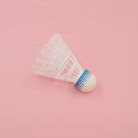 China Nylon Leaf Badminton Plastic Shuttlecock With PEA Cork Head for sale