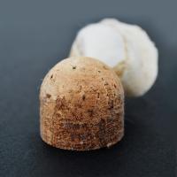 China Natural Soft Badminton Feather Cork Real Wood Shuttlecock Head For Grade A Shuttles for sale