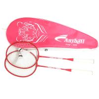 China Green Yellow Portable Badminton Racket Set With Nylon Leaf Shuttlecock 2 Players Shuttlecocks for sale