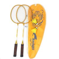 China Green Yellow Portable Badminton Racket Set With Nylon Leaf Shuttlecock 2 Players Shuttlecocks for sale