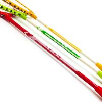 China Green Yellow Portable Badminton Racket Set With Nylon Leaf Shuttlecock 2 Players Shuttlecocks for sale