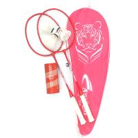 China Beginner Badminton Racket Set Indoor Outdoor Badminton Bat Set for sale