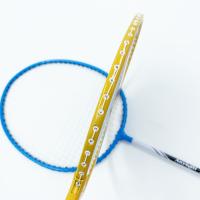 China Lightweight Badminton Racket Set With Plastic Shuttlecock for sale