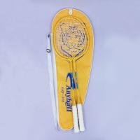 China Hybrid Shuttlecock Badminton Heavy Training Racket Training Light Weight Badminton Racquet for sale