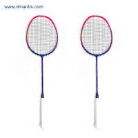 China Super Light Full Carbon Badminton Shuttlecock Racket Dmantis Brand D7 for sale