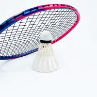 China Super Light Full Carbon Badminton Shuttlecock Racket Dmantis Brand D7 for sale