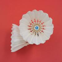 China Competition Duck Feather Badminton Shuttlecock Traditional Type BWF Approved for sale