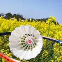 China Tournament Durable Badminton Goose Feather Shuttlecock Class A for sale