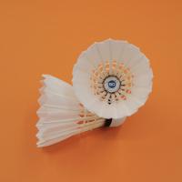 China D80 Durable Super Class Goose Feather Shuttlecock Badminton Birdie Fiber Cock for sale