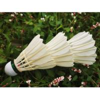 China 3in1 Flex Goose Feather Hybrid Shuttlecock Badminton Outdoor Gym Training for sale
