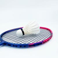 China Light Weight Model D7 Full Graphite Carbon Fiber Badminton Racket Tension 22-30lbs for sale