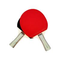 China Portable Multi Color Portable Table Tennis Set Wood Material for sale