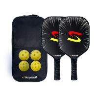 China Glass Fiber Pickleball Paddle Set With Indoor and Outdoor Pickleball Balls for sale