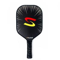 China Pickleball Paddles Set Of 2 Pieces Pickleball Rackets Set With 4 Balls Racket for sale