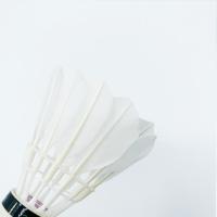 China 3in1 Factory Direct Sell Durable Goose Feather Cheap Badminton Shuttlecock for All Use for sale