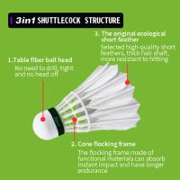 China Anyball 3in1 Badminton Shuttlecock Straight Duck Feather Durable Ball Joint for sale