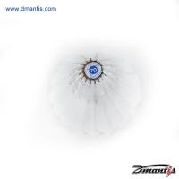 China Dmantis Traditional Badminton Shuttlecock Super Class Goose Feather High Quality for Comeptition for sale