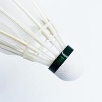 China Anyball 222 Goose Feather Hybrid Badminton The Buy Shuttlecock for Indonesia Market for sale