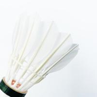China Anyball 222 Training Durable Hybird Goose Feather Shuttlecocks 3in1 Shuttlecock Feather Birdies Badminto for sale