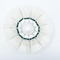 China Anyball 222 Training Durable Hybird Goose Feather Shuttlecocks 3in1 Shuttlecock Feather Birdies Badminto for sale
