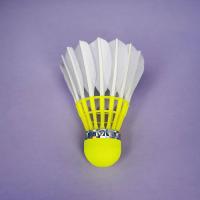 China Feather 3in1 Products Professional Badminton Shuttlecock Easy to See Durable Stable Hybrid Shuttlecocks for sale