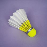China Feather 3in1 Products Professional Badminton Shuttlecock Easy to See Durable Stable Hybrid Shuttlecocks for sale