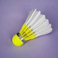 China Durable Stable Hybrid Shuttlecocks Training China Cheap Feather 3in1 Products for sale