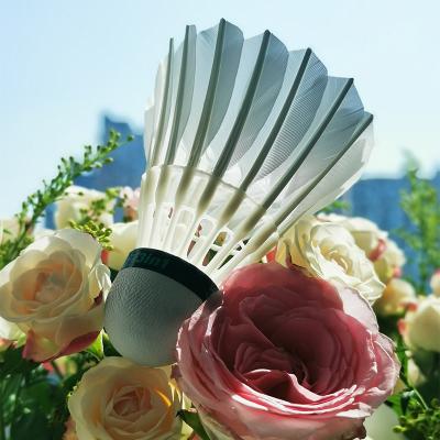 China Hot Sale 3in1 Badminton Shuttlecock Model D45 Shuttlecock Popular Badminton Products for sale
