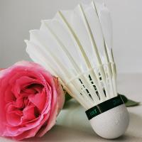 China Hot Sale 3in1 Badminton Shuttlecock Model D45 Shuttlecock Popular Badminton Products for sale