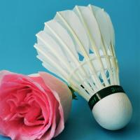 China Hot Sale 3in1 Badminton Shuttlecock Model D45 Shuttlecock Popular Badminton Products for sale