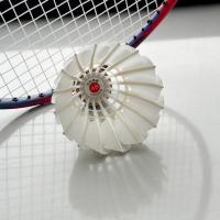 China Hot Sale 3in1 Badminton Shuttlecock Model D45 Shuttlecock Popular Badminton Products for sale