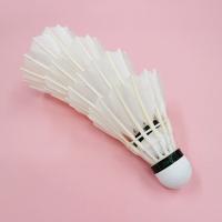 China 3in1 Hybrid Badminton Shuttlecocks Manufacturer Wholesale Shuttle Shuttlecock for sale