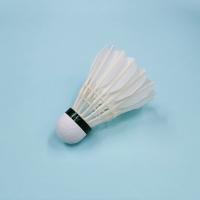 China Super Durable Great Sale Class a Duck Feather Shuttles High Quality 3in1 Shuttlecock for sale