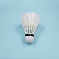 China Super Durable Great Sale Class a Duck Feather Shuttles High Quality 3in1 Shuttlecock for sale