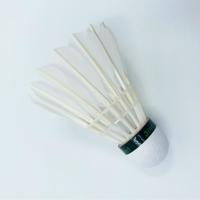 China Wholesale Economical Price Good Quality Goose Feather Match Badminton Shuttlecock for sale