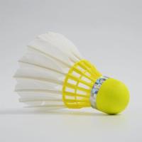 China High Quality Shuttlecocks Wholesale Chinese Manufacturer for sale